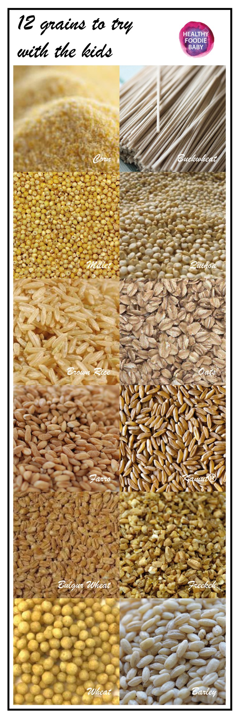 12 grains to try with the kids – Healthyfoodiebaby